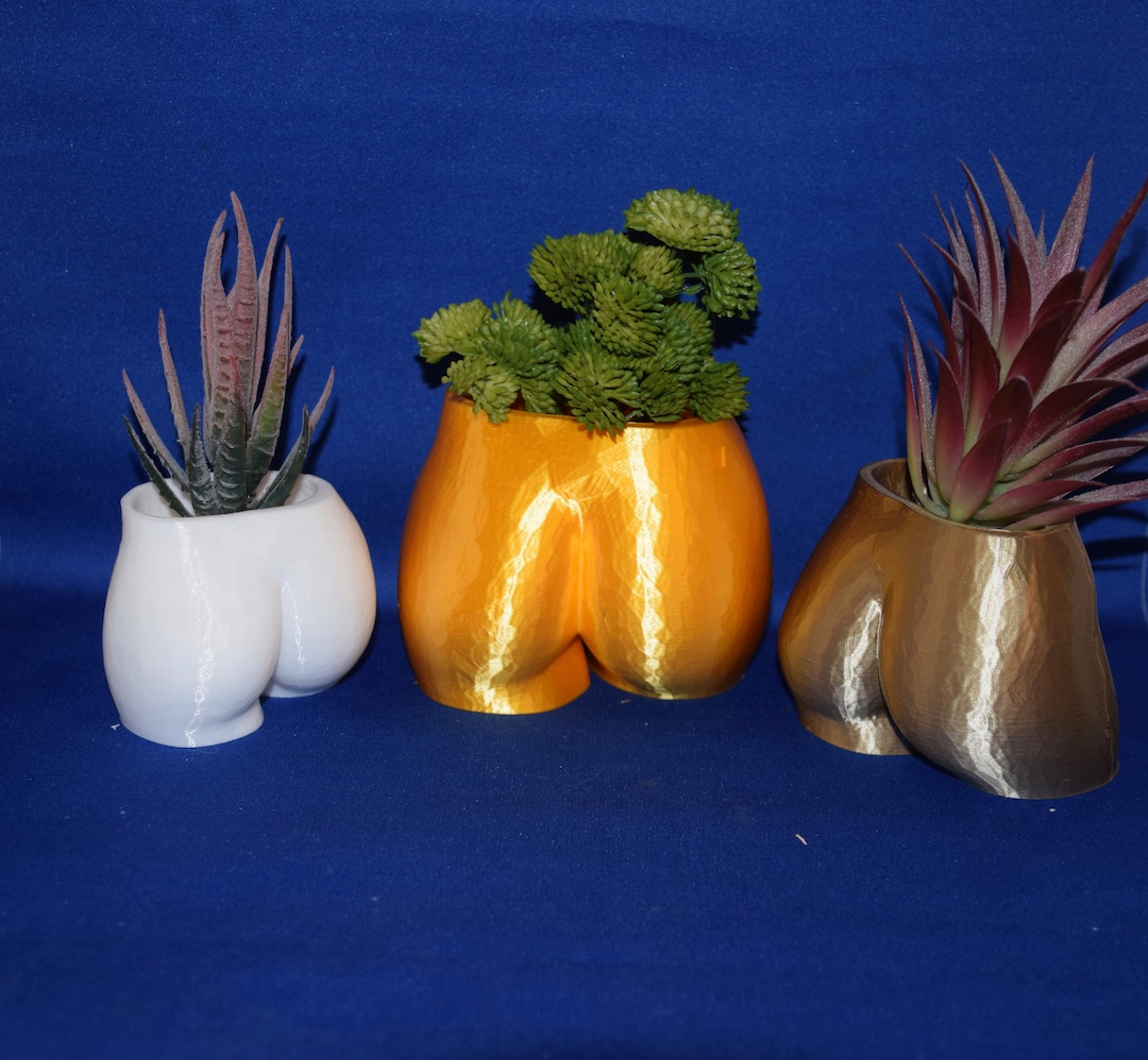 Butt Booty Bum Woman Nude Female Lower Torso Rear Flower Succulent Pot ...