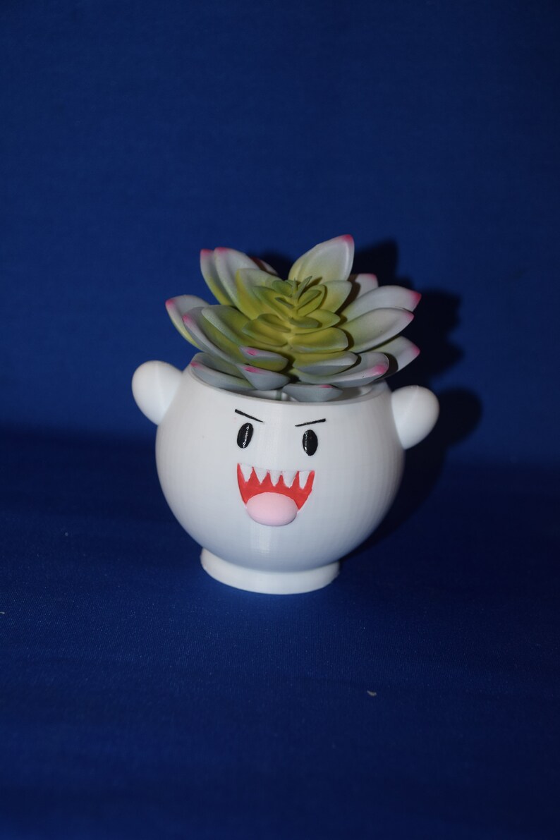Super Mario Bros BOO Inspired Flower Succulent Pot Planter Air | Etsy