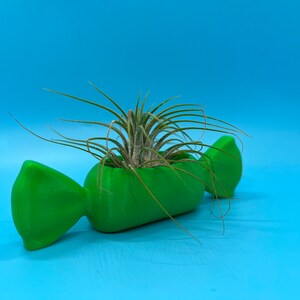 Candy Succulent Planter | Home Decor | Modern Planter | 3D Printed With ...