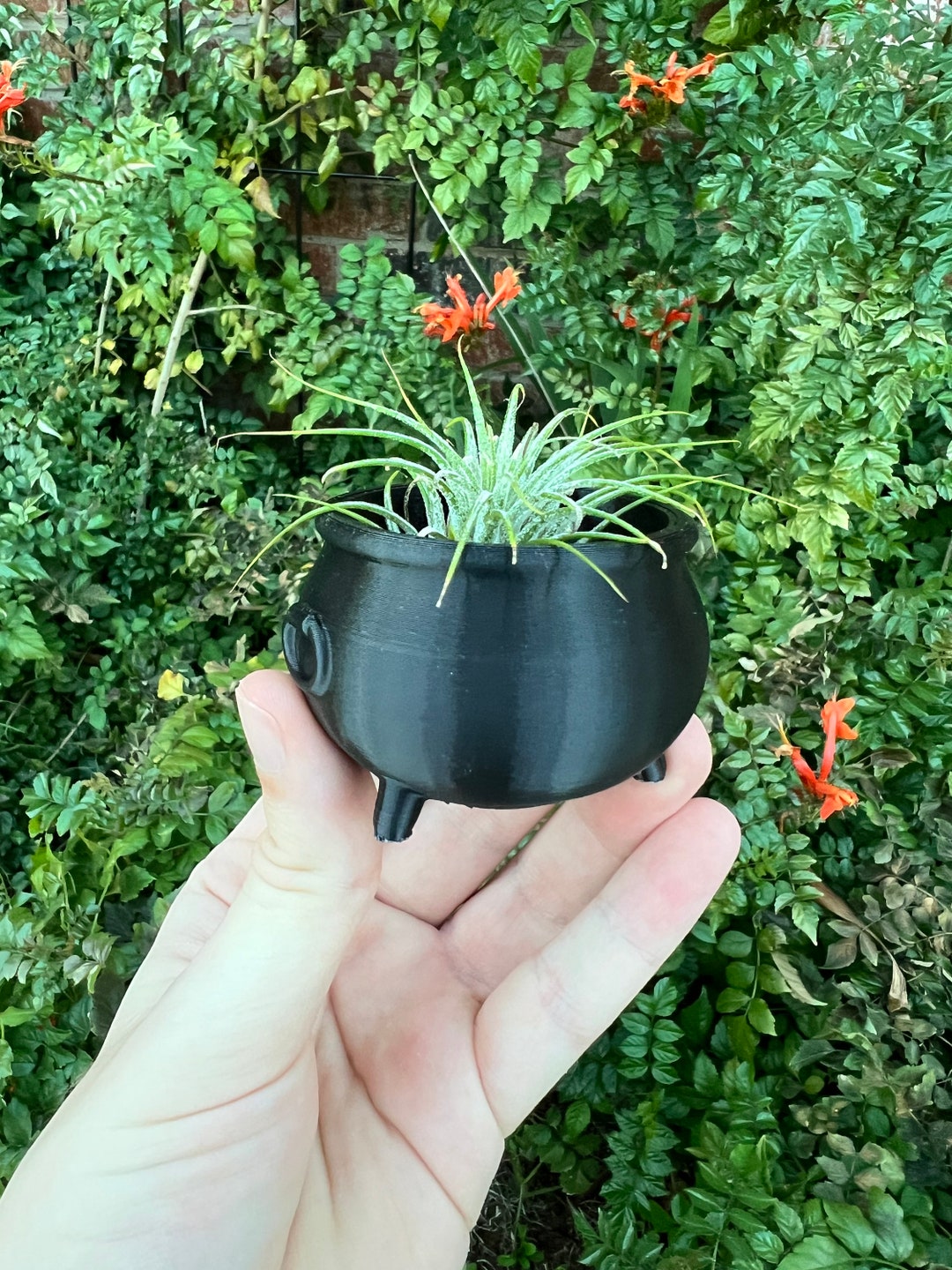 3D Printed Cauldron Planter for Succulents & Air Plants | Modern Indoor ...