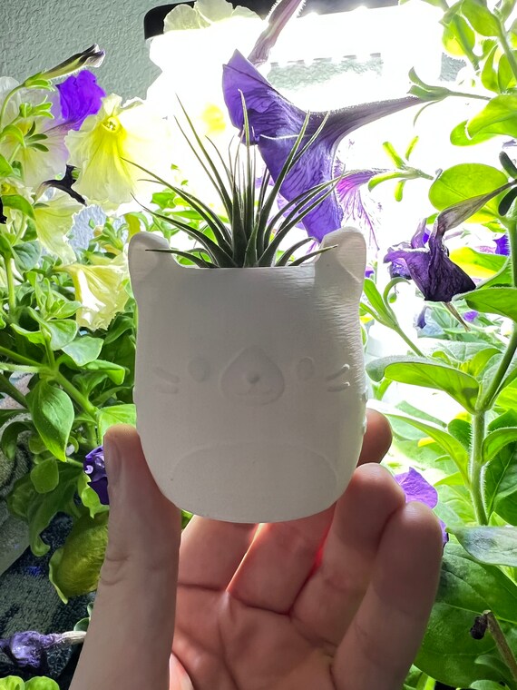 Cat Succulent Planter Home Decor Modern Planter 3D - Etsy