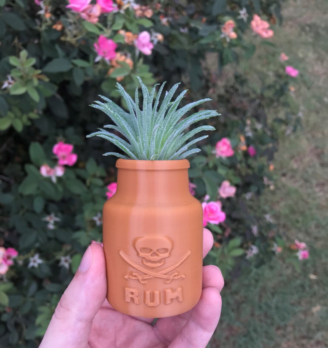 3D Printed Rum Bottle Planter – PLA Modern Succulent & Cactus Decor - Etsy