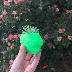 Alien Succulent Planter | Office Decor | Home Decor | Modern Planter ...