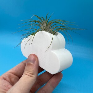 Cloud Succulent Planter | Home Decor | Modern Planter | 3D Printed With ...