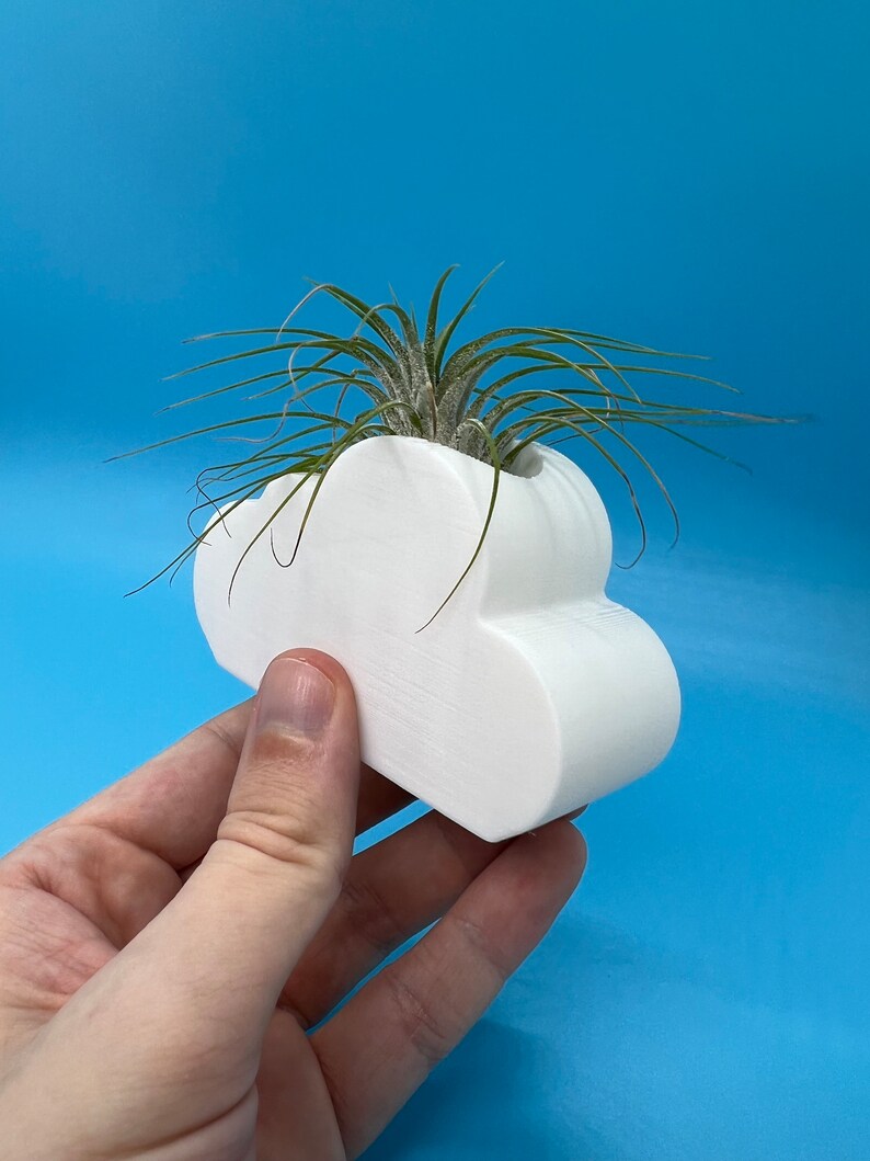 Cloud Succulent Planter Home Decor Modern Planter 3D - Etsy