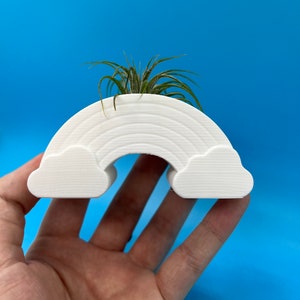 Rainbow Clouds Succulent Planter | Home Decor | Modern Planter | 3D ...