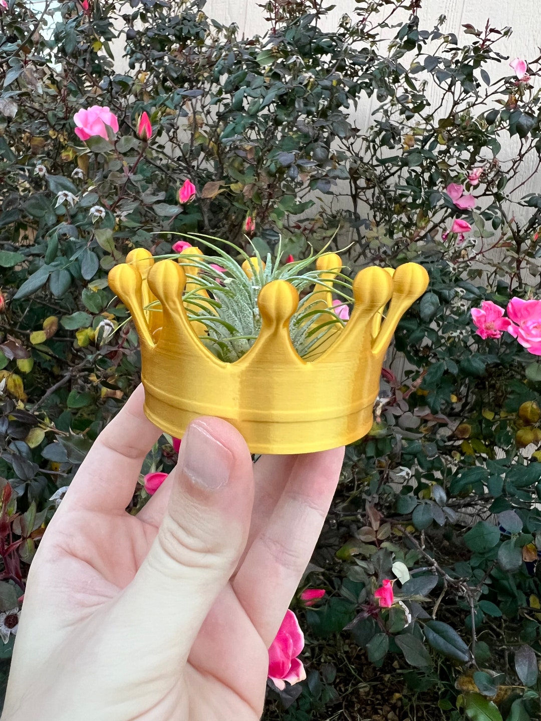 Crown Succulent Planter | Home Decor | Modern Planter | 3D Printed With ...