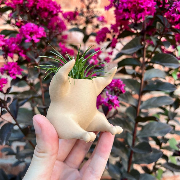 Chicken Planter Pot - Etsy