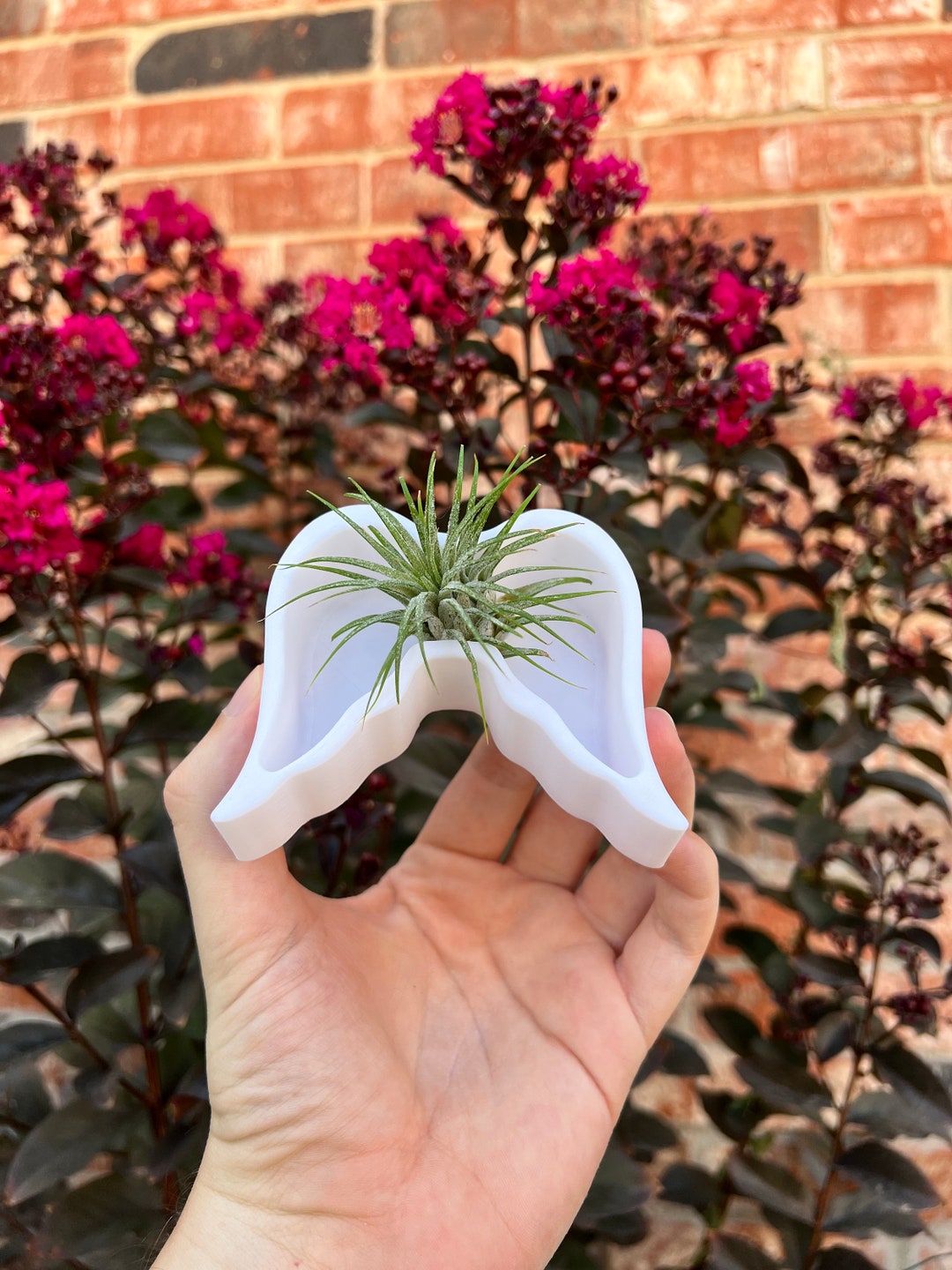 Angel Wings Succulent Planter | Home Decor | Modern Planter | 3D ...