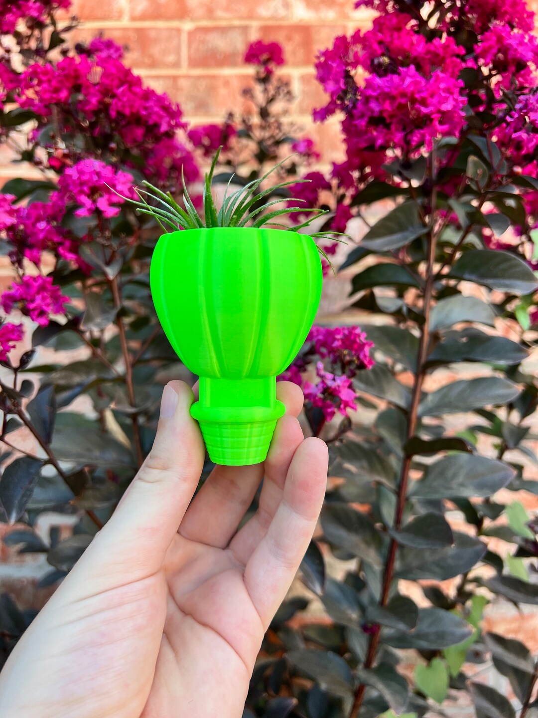 Hot Air Balloon Succulent Planter | Home Decor | Modern Planter | 3D ...