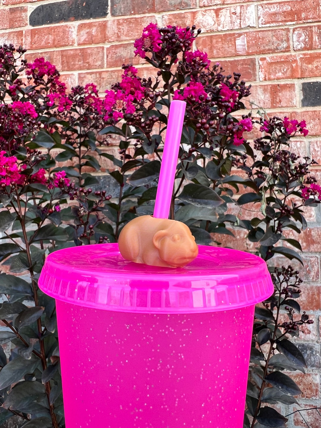 Guinea Pig Straw Topper | Straw Decoration | Straw Charm | Cute Straw ...