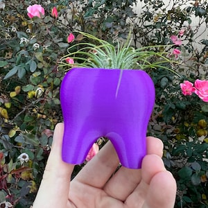 Tooth Succulent Planter | Home Decor | Modern Planter | 3D Printed With ...