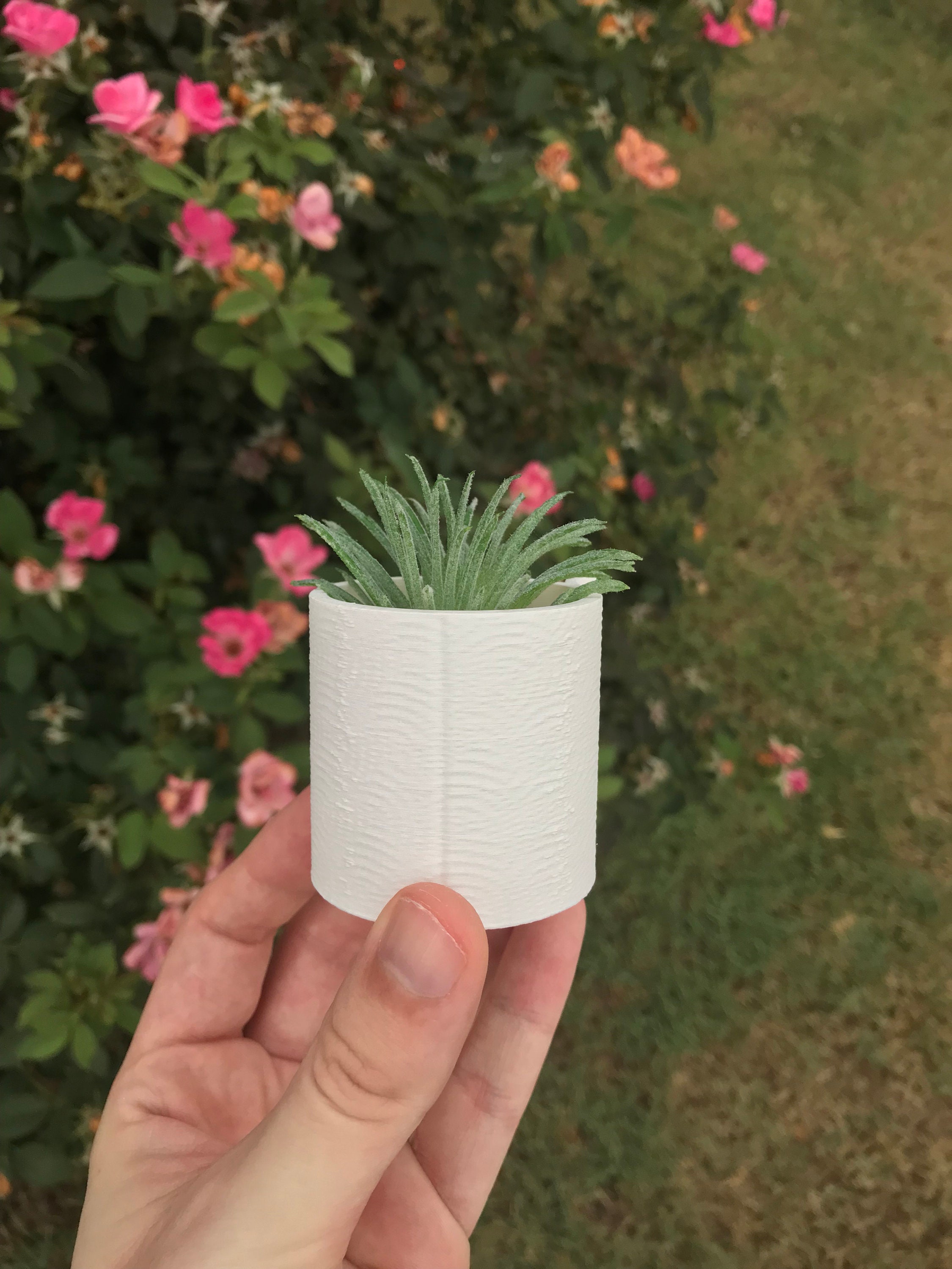 3D Printed Toilet Paper Roll Succulent Planter - Modern Indoor Home ...