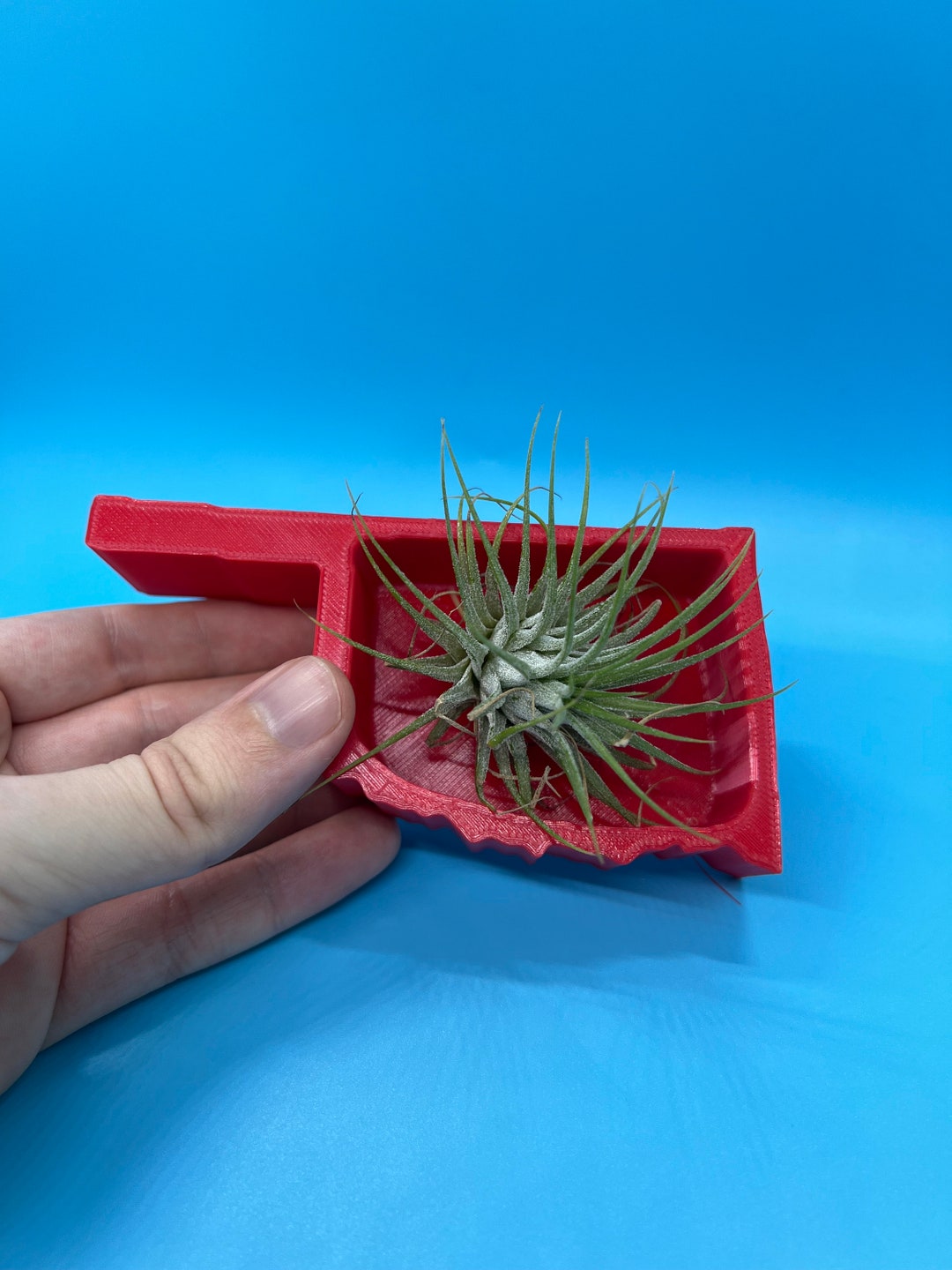Oklahoma State 3D Printed Succulent Planter - Modern Indoor Home Decor ...