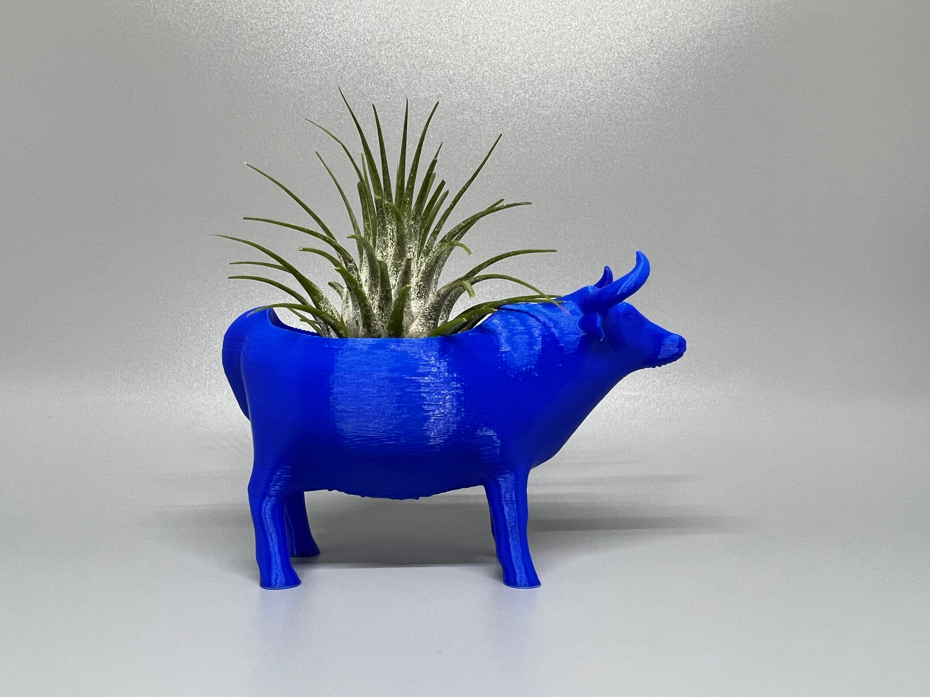 3D Printed Longhorn Planter: Modern PLA Decor for Succulents - Etsy