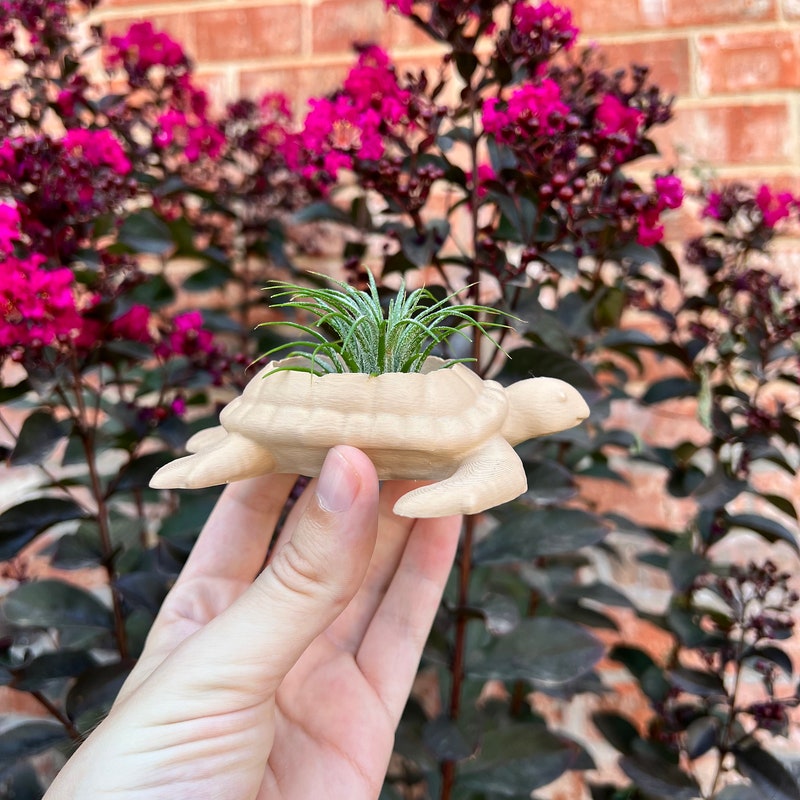 Turtle Planter - Etsy