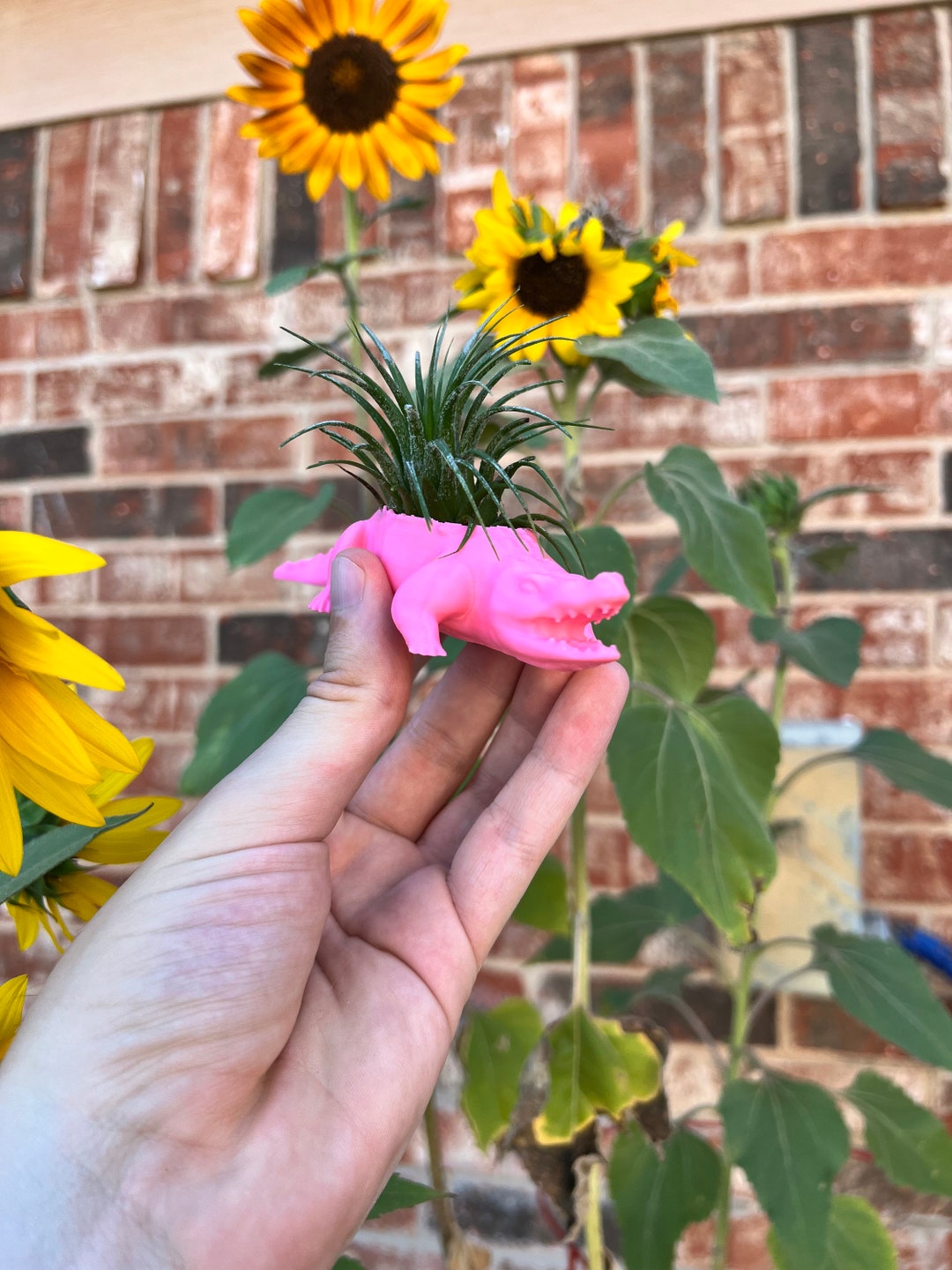 Alligator Succulent Planter | Home Decor | Modern Planter | 3D Printed ...