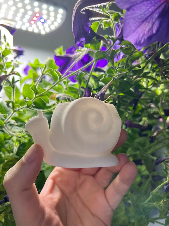 Snail Succulent Planter Home Decor Modern Planter 3D - Etsy