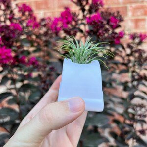 Rainbow Clouds Succulent Planter | Home Decor | Modern Planter | 3D ...