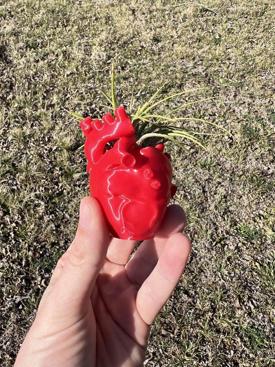3D Printed Heart Planter – Modern PLA Home Decor, Plant Lover Gift - Etsy
