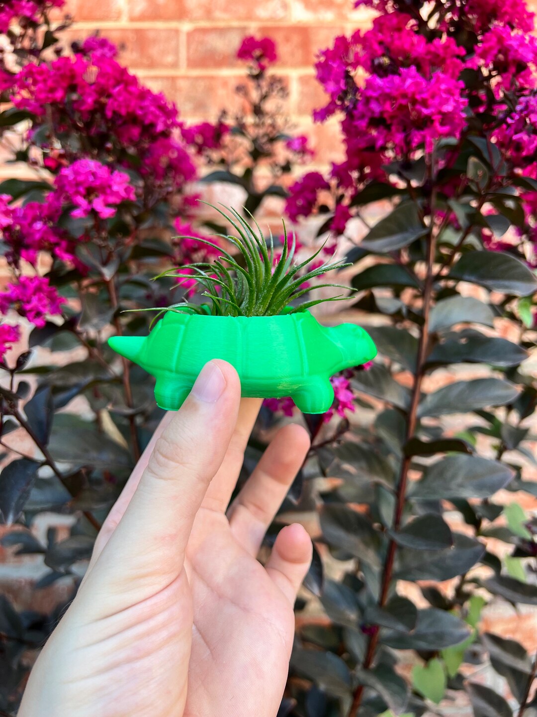 Turtle Succulent Planter | Home Decor | Modern Planter | 3D Printed ...