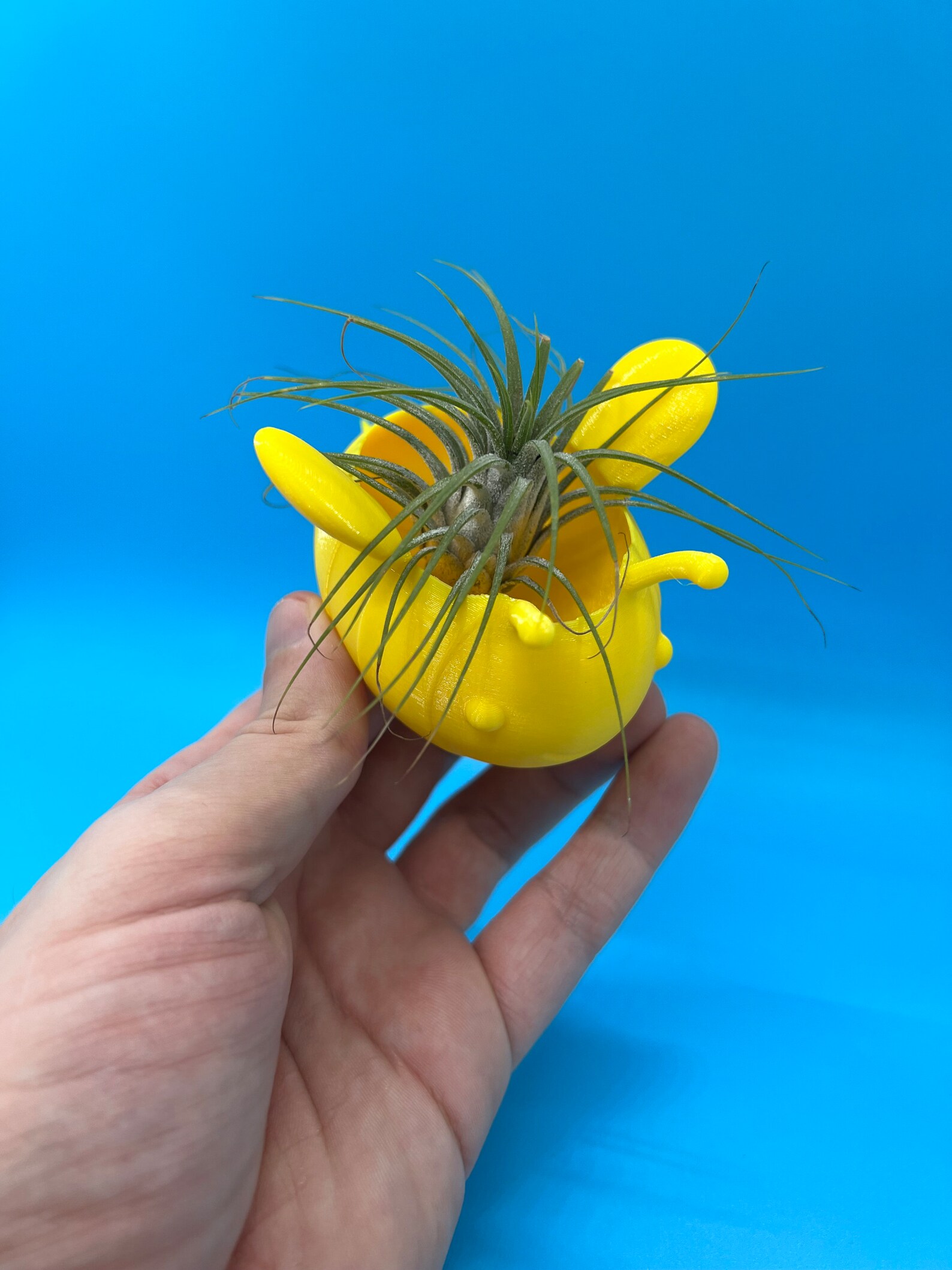 Bee Succulent Planter Home Decor Modern Planter 3D - Etsy