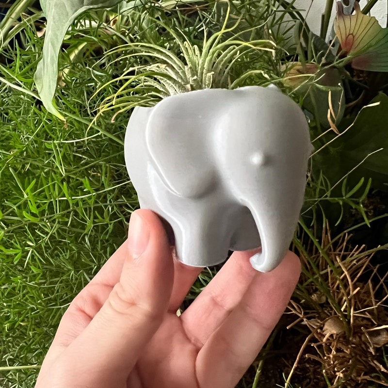 Elephant Planters Small - Etsy