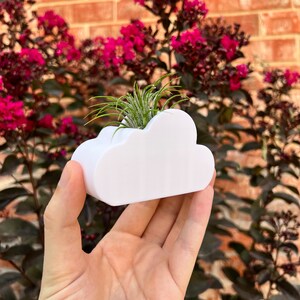 Cloud Succulent Planter | Home Decor | Modern Planter | 3D Printed With ...