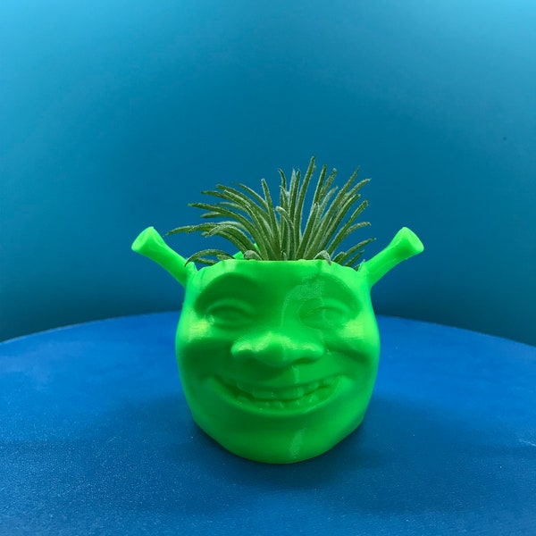 Shrek Flower Pot - Etsy