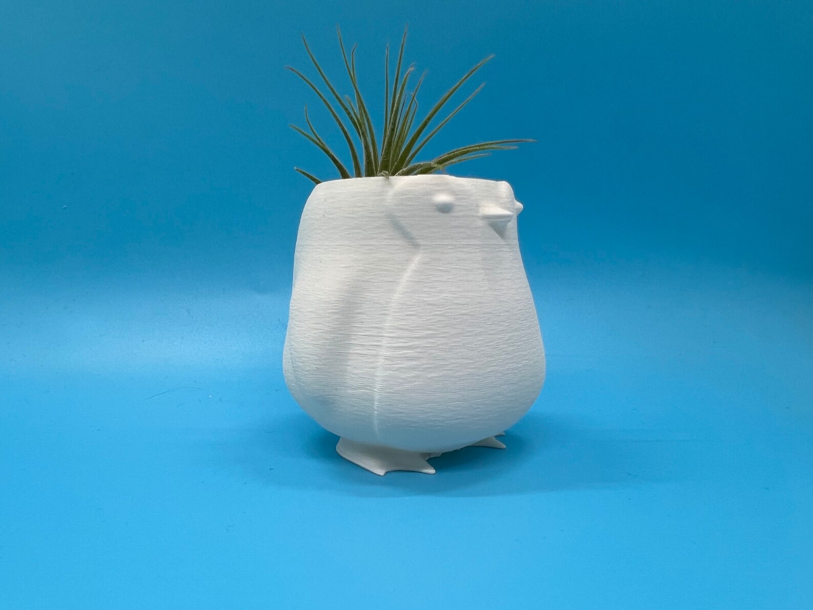 Cute Penguin Succulent Planter Home Decor Modern Planter | Etsy