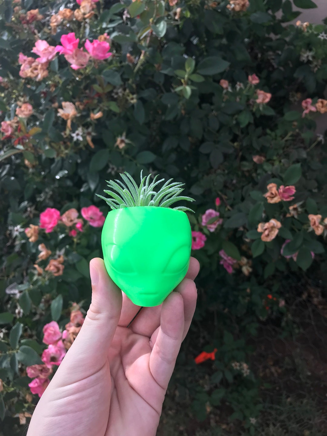 Alien Succulent Planter | Office Decor | Home Decor | Modern Planter ...