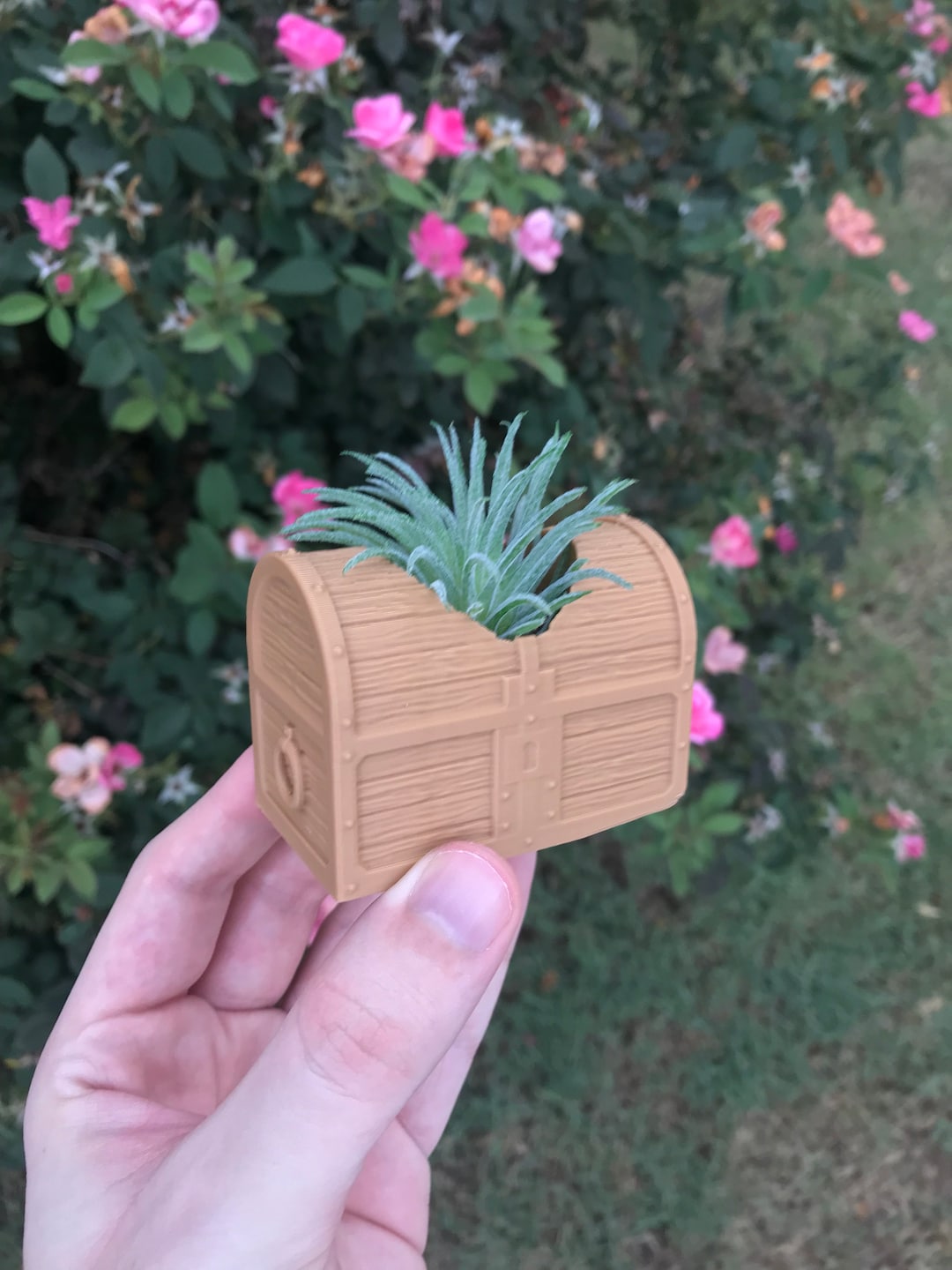 Treasure Chest Succulent Planter | Home Decor | Modern Planter | 3D ...