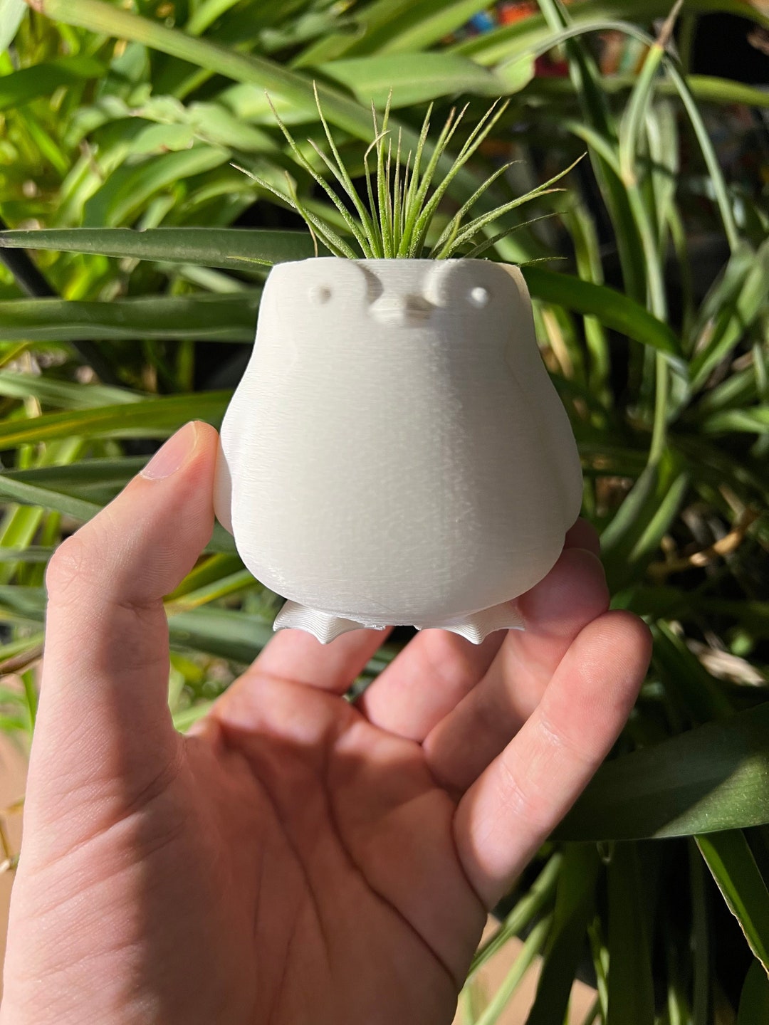 Cute Penguin Succulent Planter Home Decor Modern Planter - Etsy