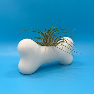 Bone Succulent Planter | Home Decor | Modern Planter | 3D Printed With ...