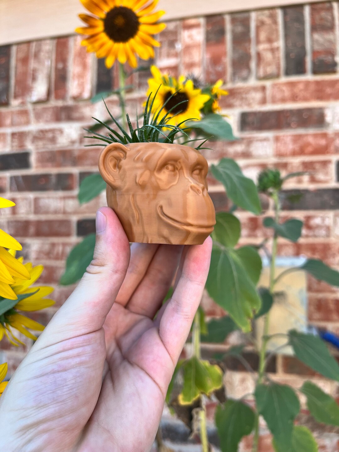Monkey Succulent Planter | Home Decor | Modern Planter | 3D Printed ...