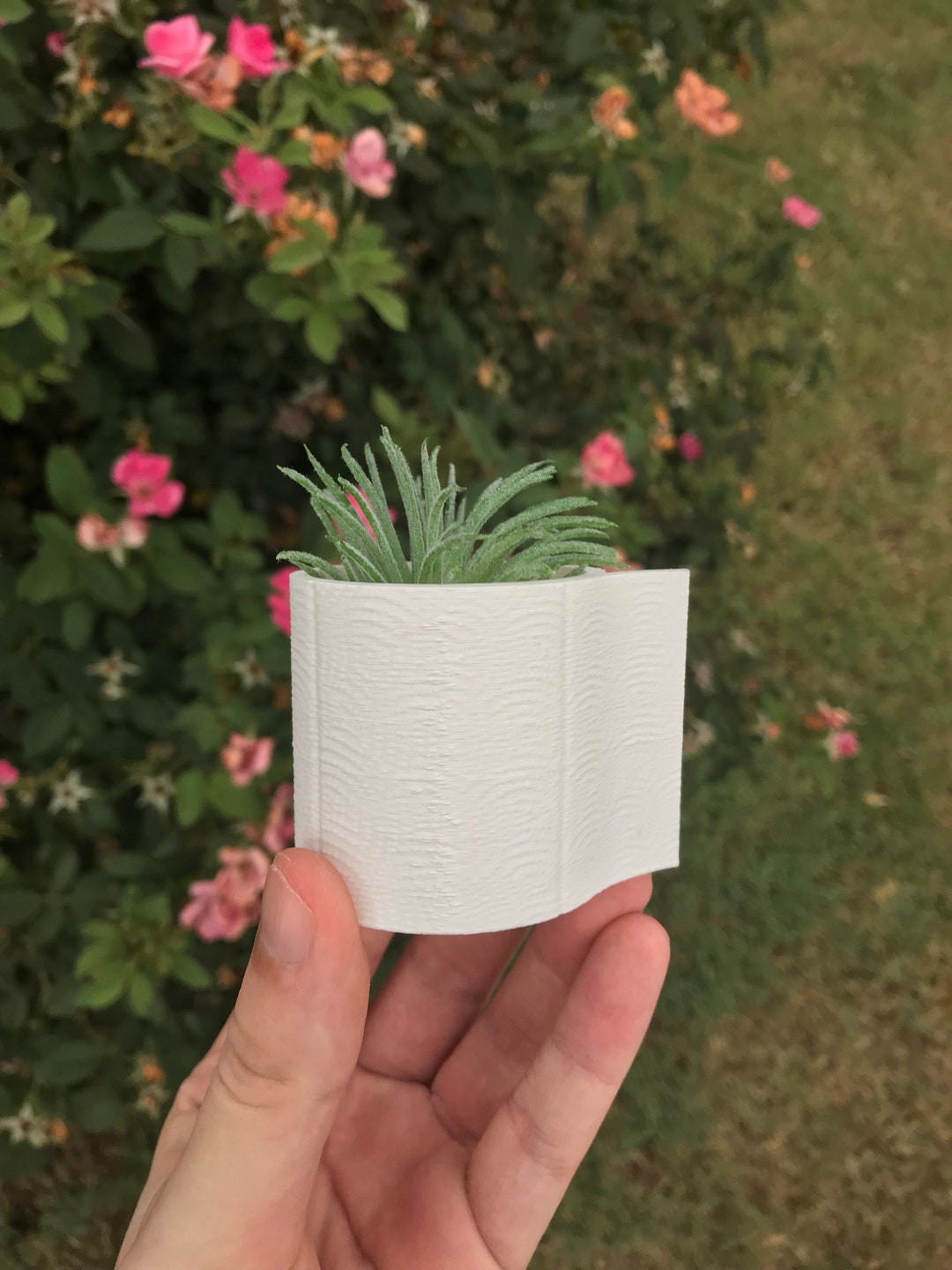 3D Printed Toilet Paper Roll Succulent Planter - Modern Indoor Home ...