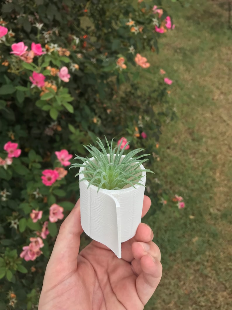 3D Printed Toilet Paper Roll Succulent Planter - Modern Indoor Home ...