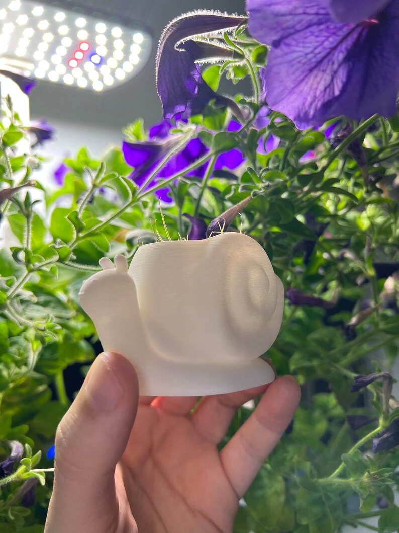 Snail Succulent Planter Home Decor Modern Planter 3D - Etsy