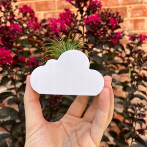 Cloud Succulent Planter | Home Decor | Modern Planter | 3D Printed With ...