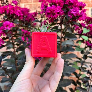 ABC Block Succulent Planter | Home Decor | Modern Planter | 3D Printed ...