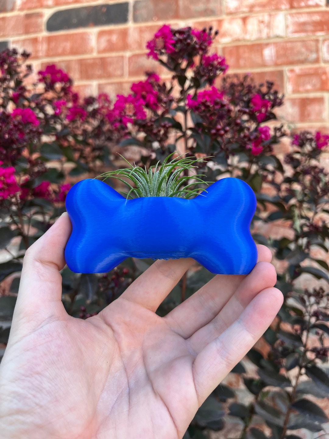 Bone Succulent Planter | Home Decor | Modern Planter | 3D Printed With ...