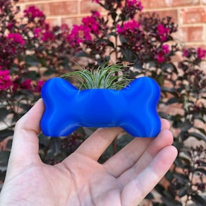 Bone Succulent Planter | Home Decor | Modern Planter | 3D Printed With ...