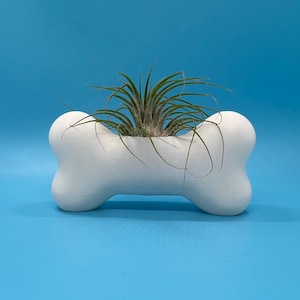 Bone Succulent Planter | Home Decor | Modern Planter | 3D Printed With ...