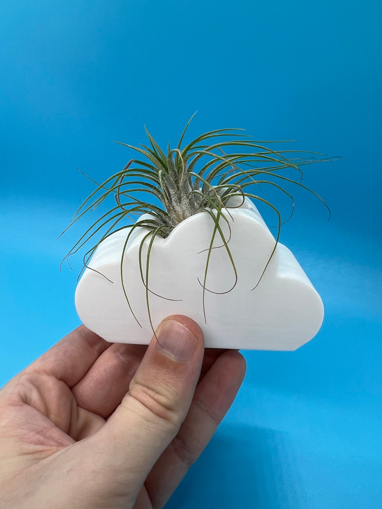 Cloud Succulent Planter Home Decor Modern Planter 3D - Etsy