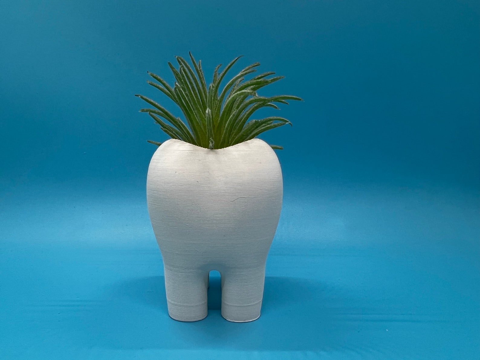 Tooth Succulent Planter Home Decor Modern Planter 3D | Etsy