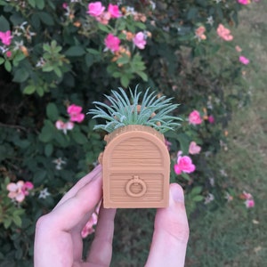 3D Printed Treasure Chest Planter: PLA Plastic Succulent Pot - Etsy