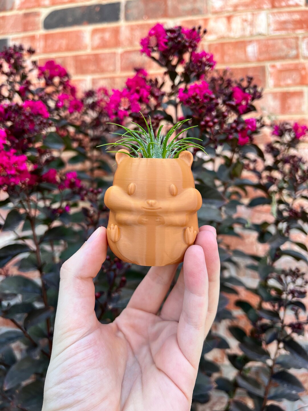 3D Printed Hamster Succulent Planter: Modern Indoor Drainage Pot for ...