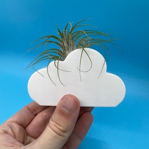Cloud Succulent Planter | Home Decor | Modern Planter | 3D Printed With ...