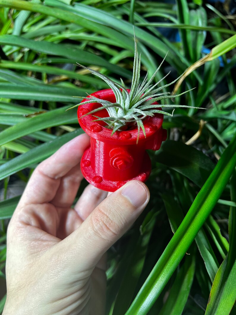 Fire Hydrant Succulent Planter Home Decor Modern Planter - Etsy