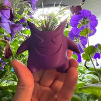 Gengar Plant - Etsy